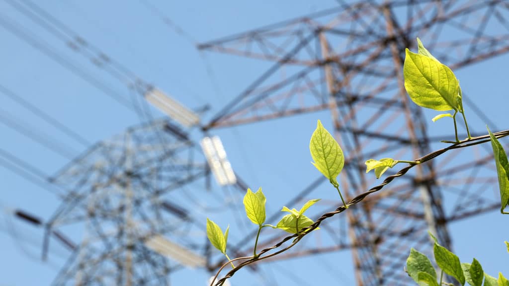 Det digitale kraftsystemet 2020 - NEK