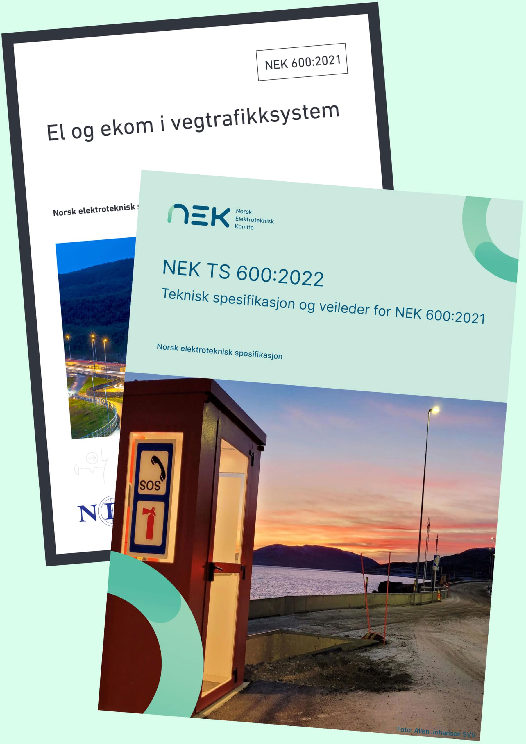 Ekte Nisseobservasjoner